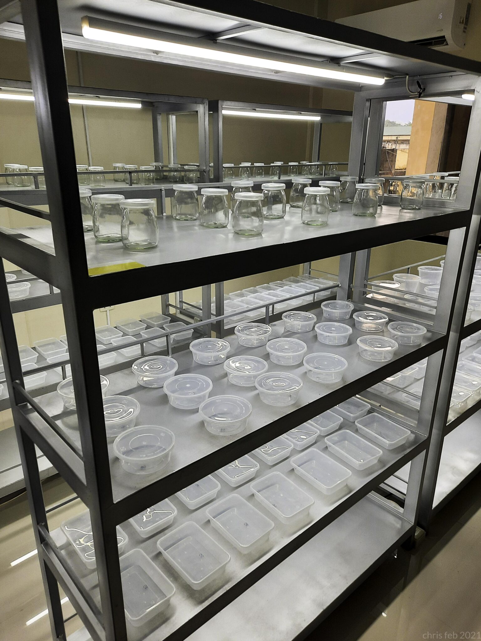 BukSU launches Plant Tissue Culture Laboratory - Bukidnon State University